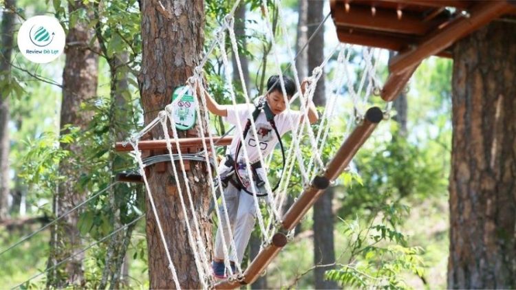 Zipline Đà Lạt Thác Datanla - Trải Nghiệm độc đáo Khó Quên